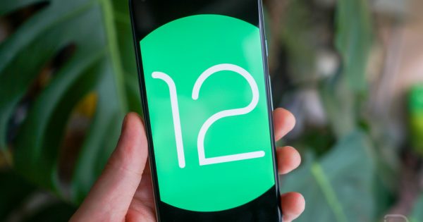 Here's When to Expect the Android 12 Public Beta